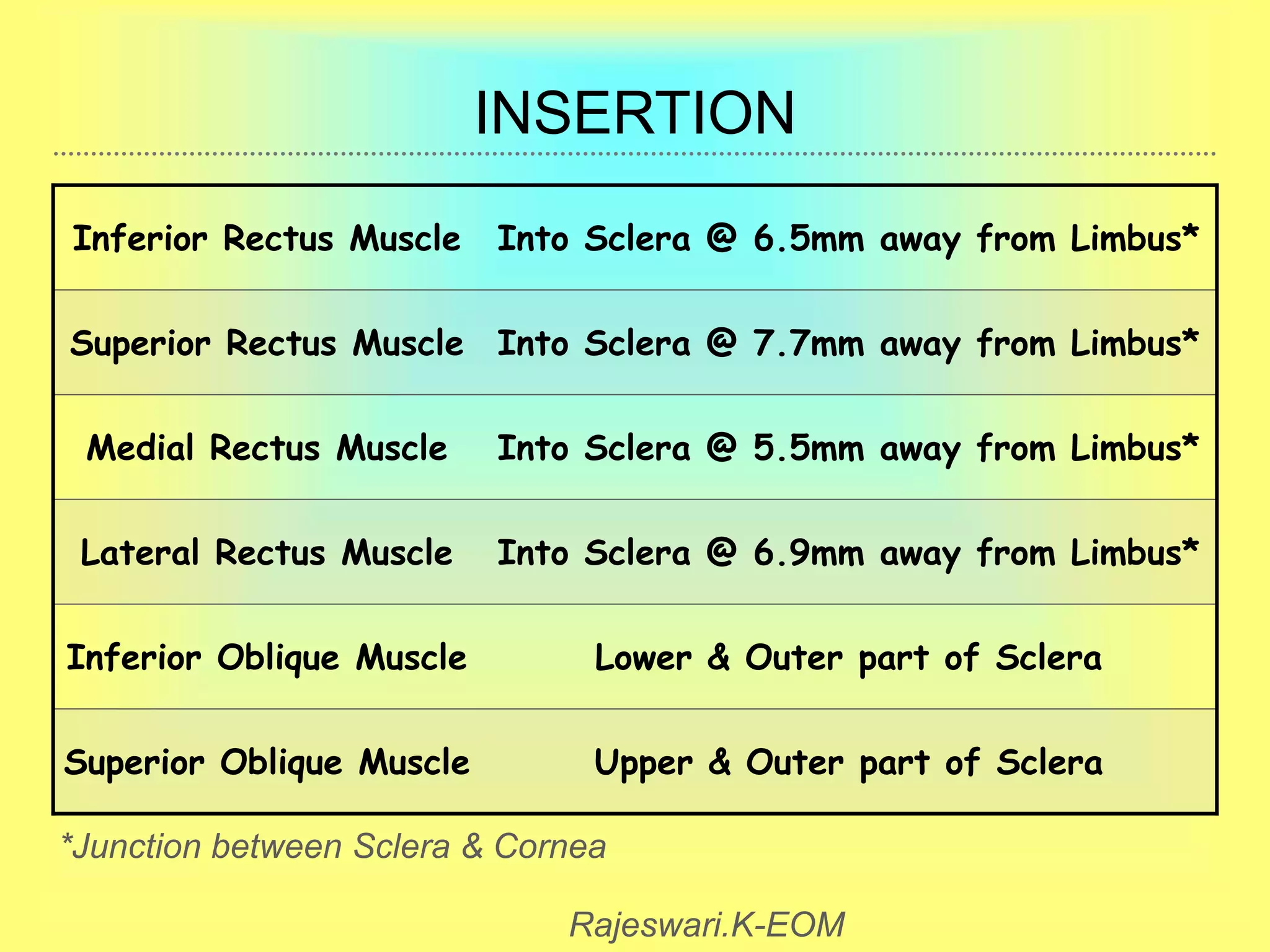 EXTRA OCULAR MUSCLES OF EYE | PPT
