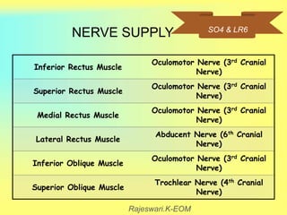 EXTRA OCULAR MUSCLES OF EYE | PPT