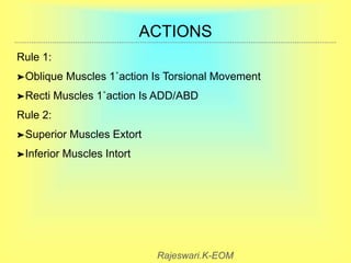EXTRA OCULAR MUSCLES OF EYE | PPT