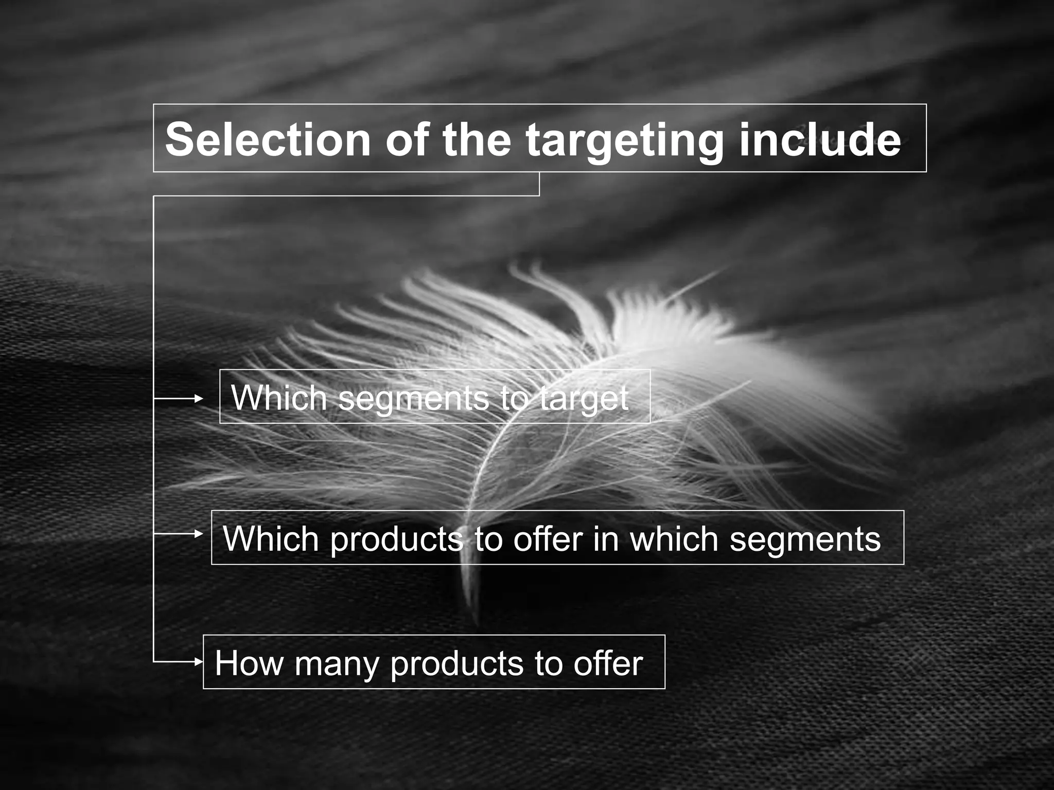 3. marketing segmentation, targeting and positioning | PPT