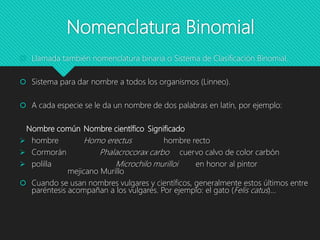 Taxonomia de las especies | PPT