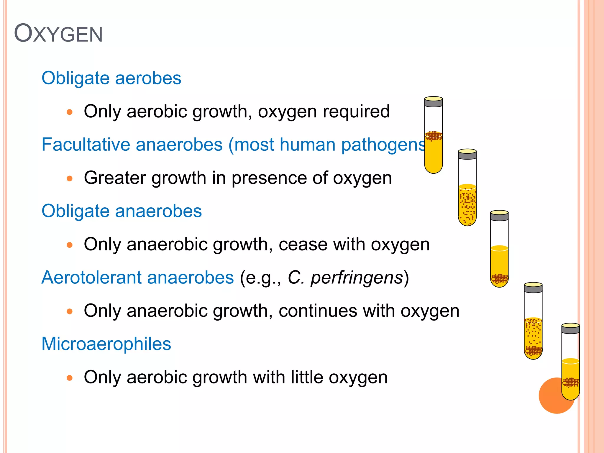 physiology of microorganisms | PPTX