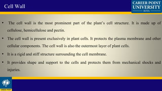 3. ultrastructure of prokaryotes | PPTX
