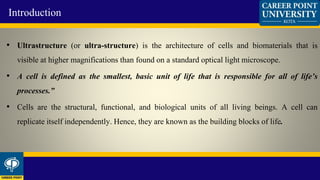 3. ultrastructure of prokaryotes | PPTX