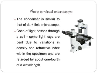 Microscope | PPTX