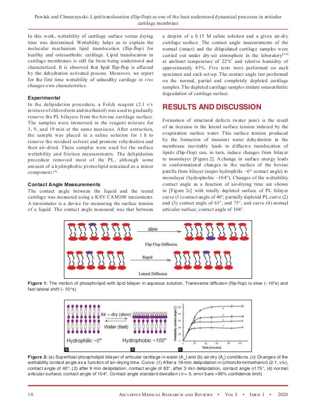 Lipid Translocation (flip-flop) as One of the Least Understood ...