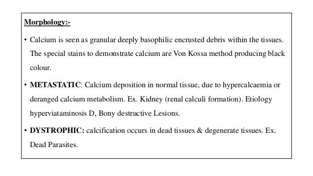 3..infiltration & regeneration | PPTX