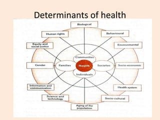 3. revised determinants of health and health care system | PPT