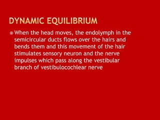 3.Physiology of Hearing.pptx