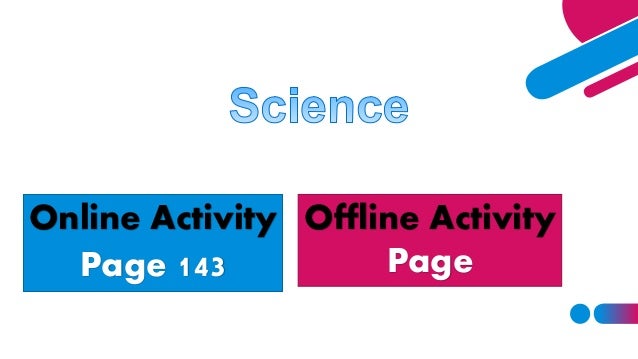 Detailed Study of Vertebrate Animals Junior Kinder | PPT