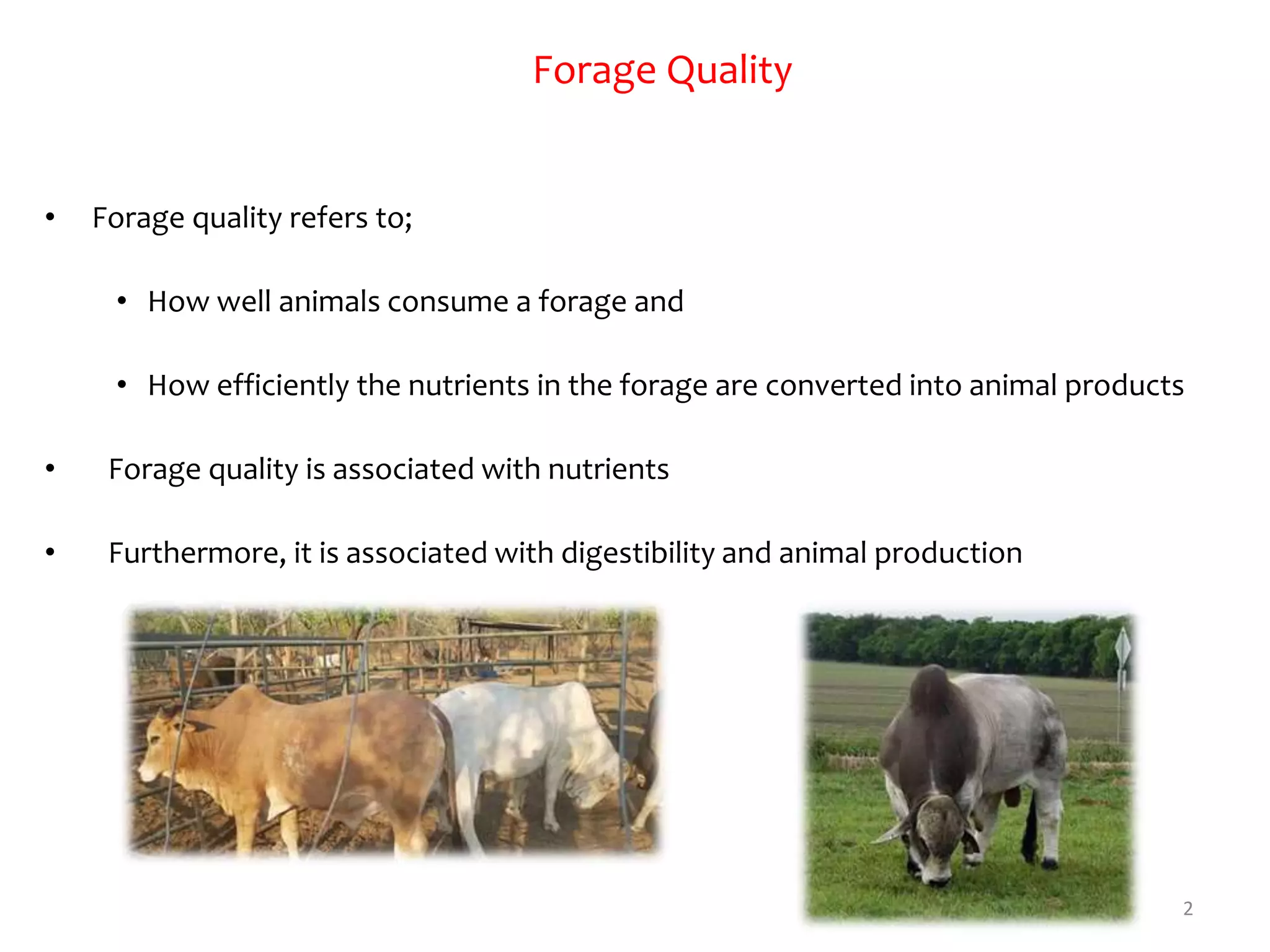 3.Forage Quality.ppt