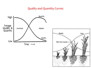 3.Forage Quality.ppt