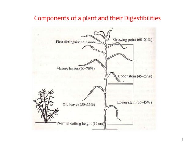 3.Forage Quality.ppt