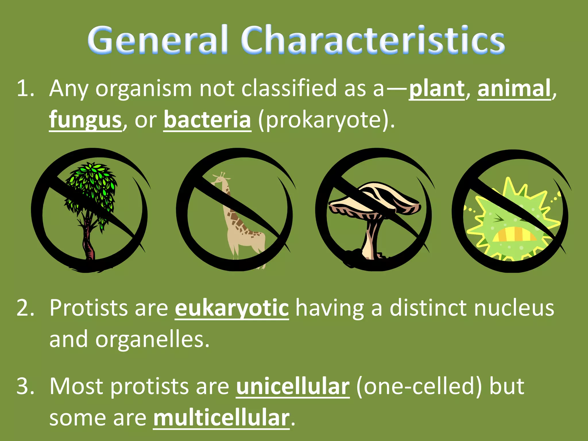 Kingdom Protista by BNP | PDF