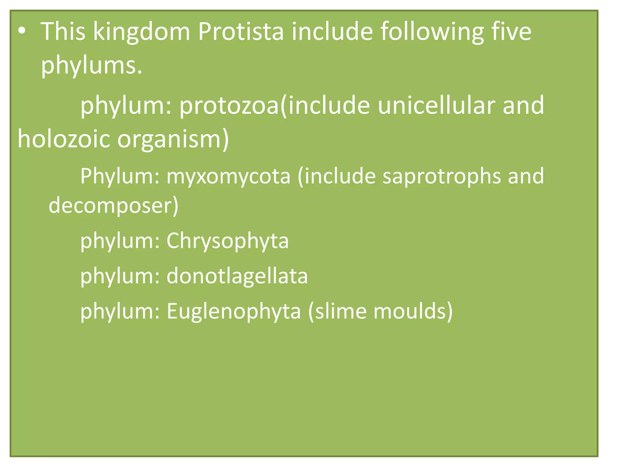 Kingdom Protista by BNP | PDF