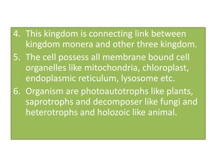 Kingdom Protista by BNP | PDF