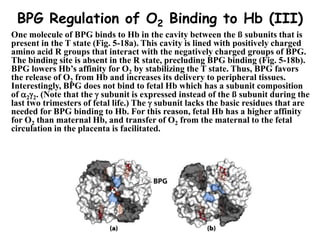 3.Hemoglobin and myoglobin structure and function.ppt