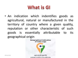 3. Geographical Indicators.pptx