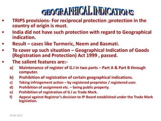 3. Geographical Indicators.pptx