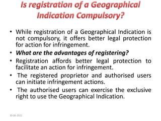 3. Geographical Indicators.pptx