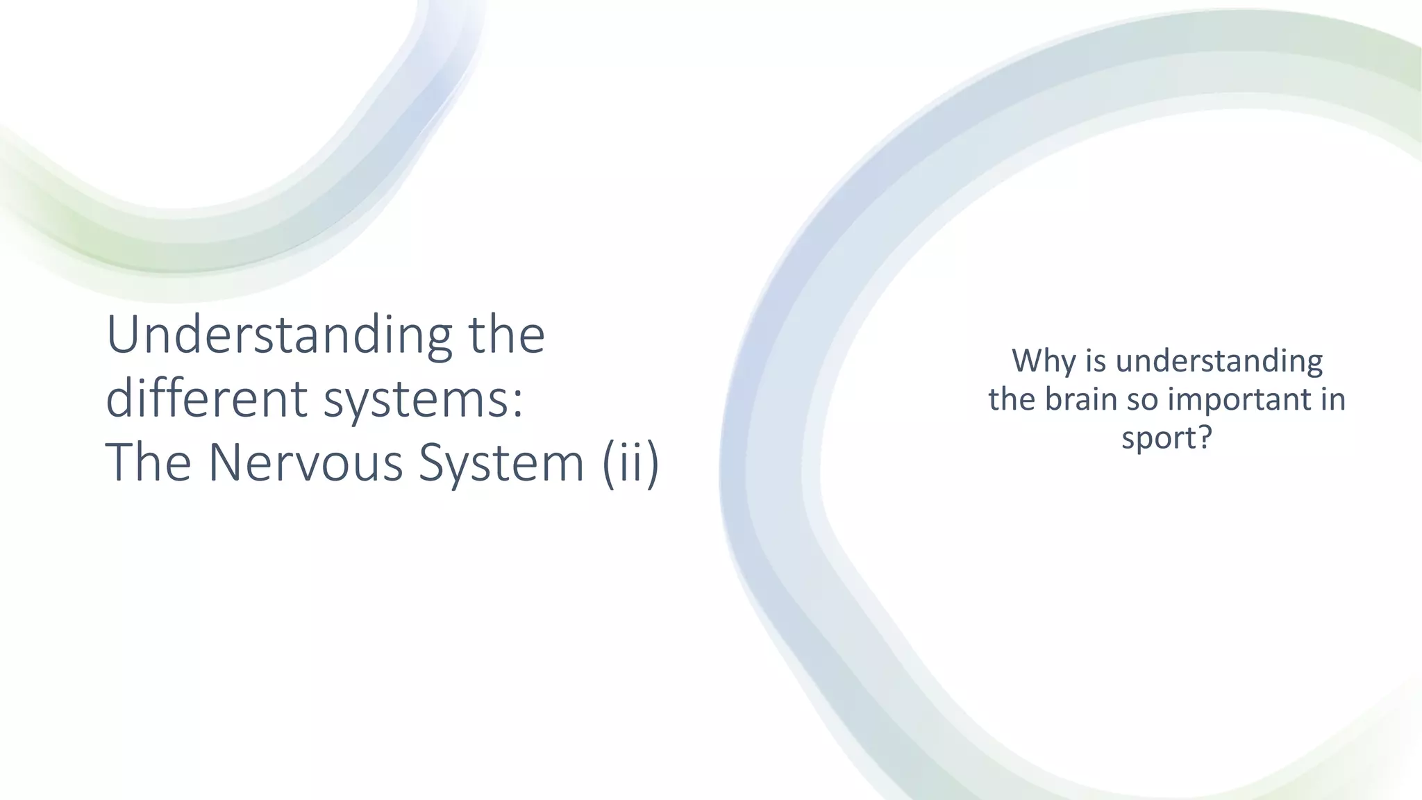 Exercise Physiology Part 3 of 3 Investigating The Nervous System in ...