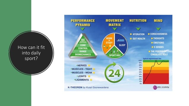 Exercise Physiology Part 3 of 3 Investigating The Nervous System in ...