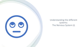 Exercise Physiology Part 3 of 3 Investigating The Nervous System in ...