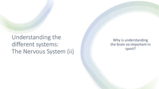 Exercise Physiology Part 3 of 3 Investigating The Nervous System in ...