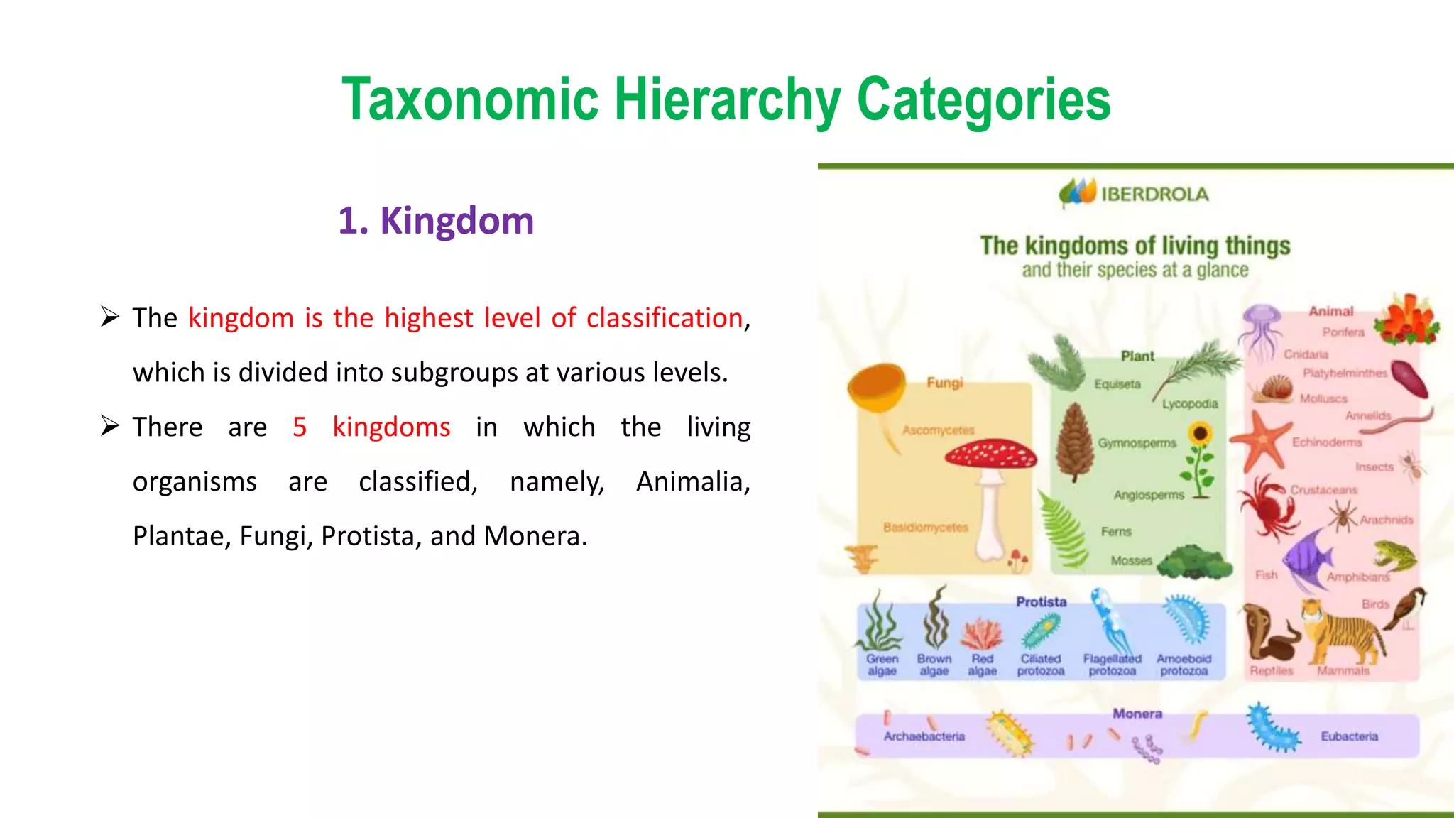 3. Taxonomic Hierarchy.pptx