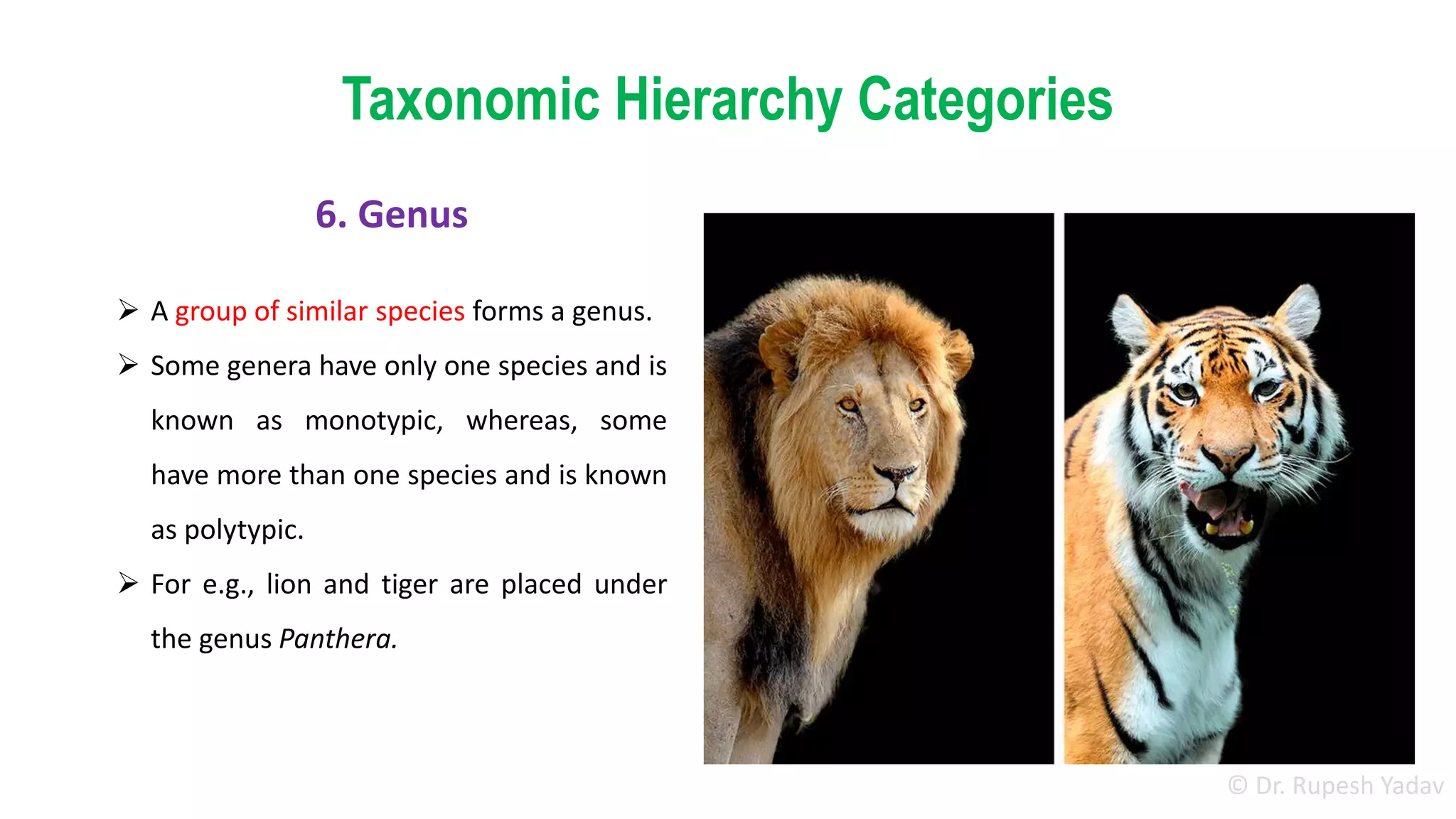 3. Taxonomic Hierarchy.pptx