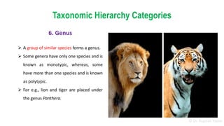 3. Taxonomic Hierarchy.pptx