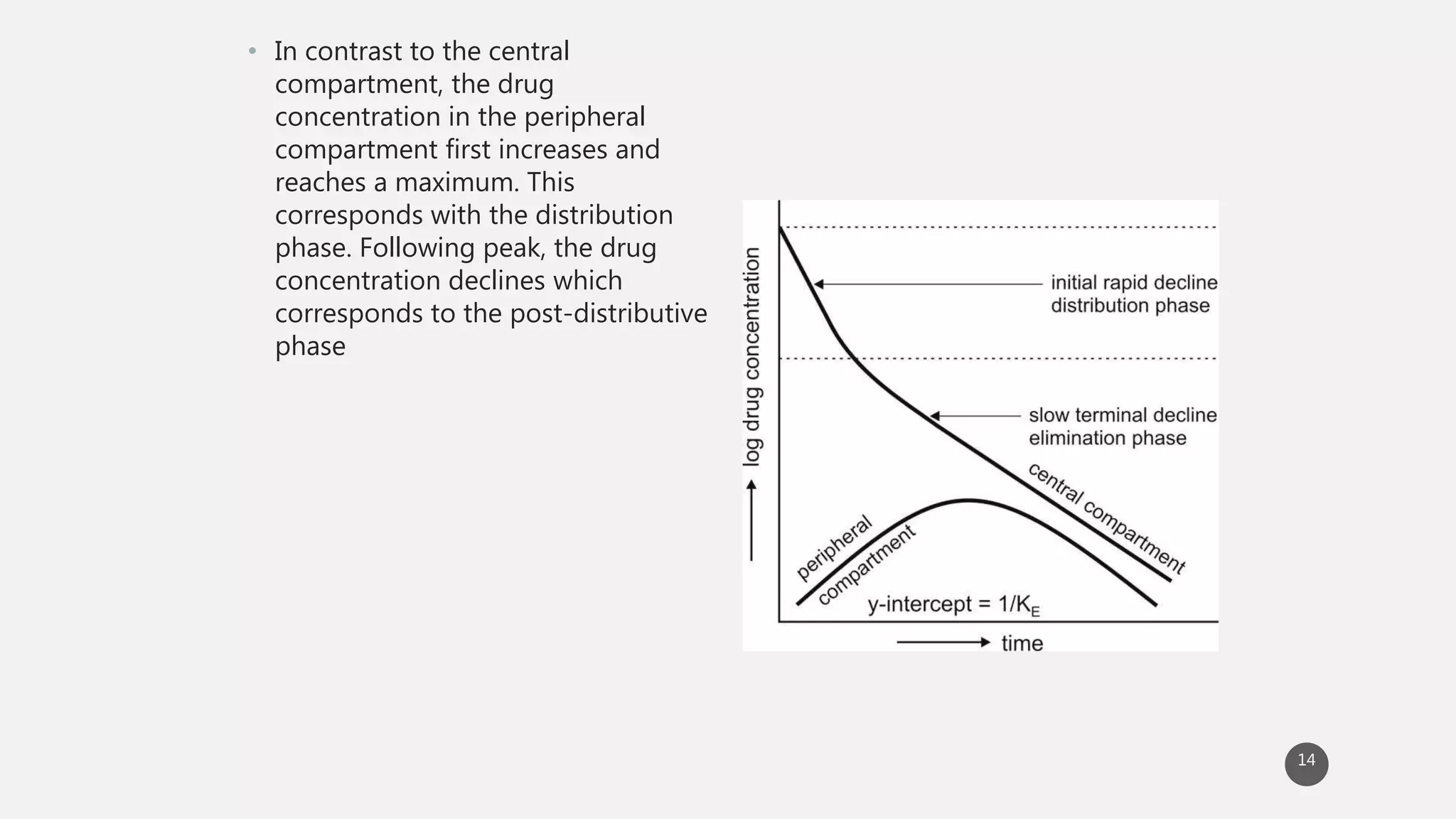 3.3 Multi compartment models.pptx