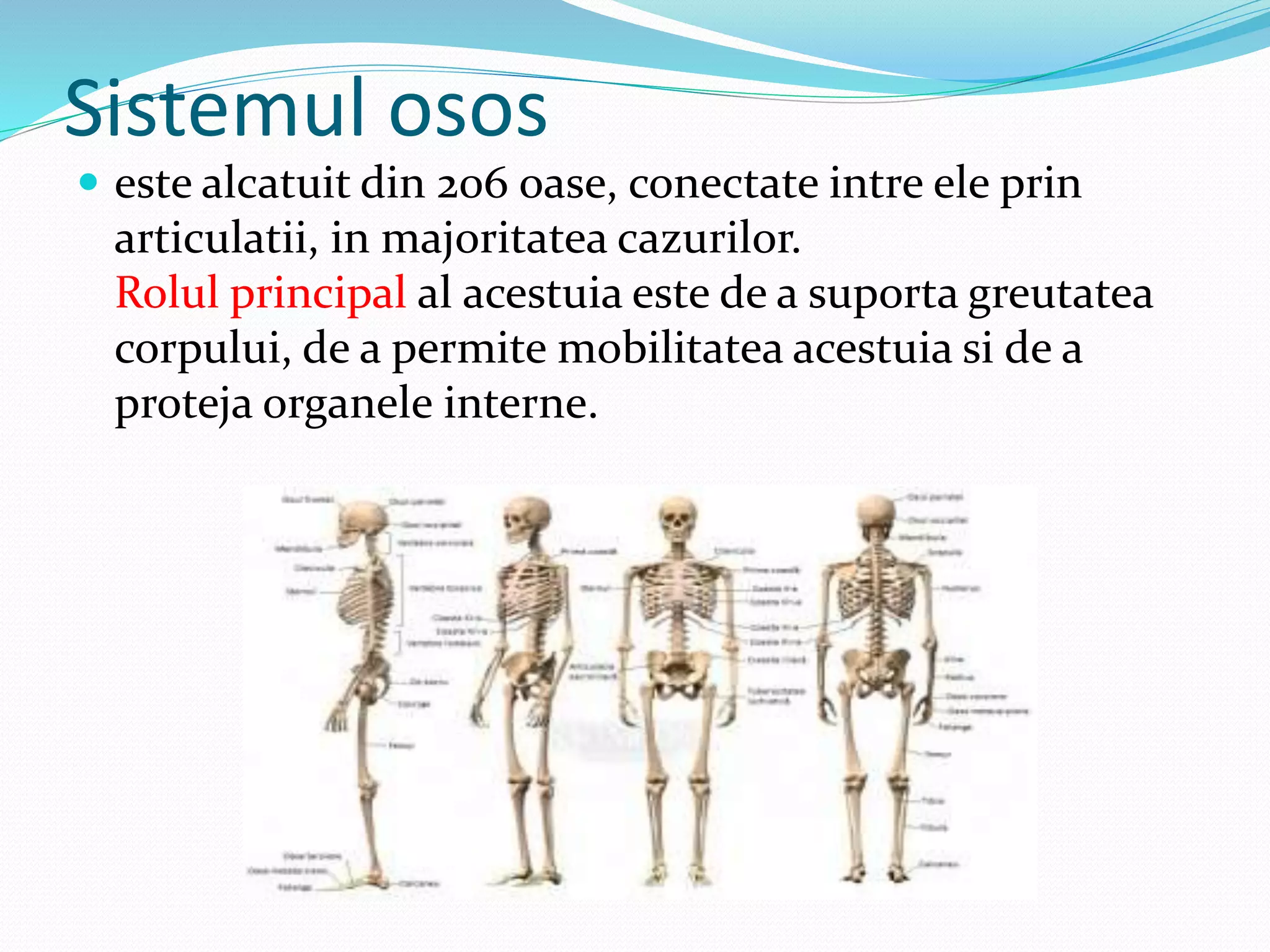3. NOTIUNI DE ANATOMIE SI FIZIOLOGIE.pptx