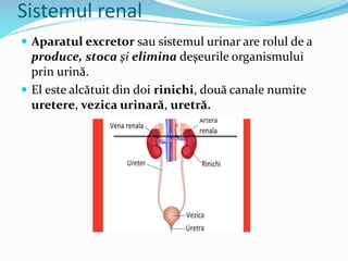 3. NOTIUNI DE ANATOMIE SI FIZIOLOGIE.pptx