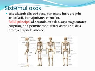 3. NOTIUNI DE ANATOMIE SI FIZIOLOGIE.pptx
