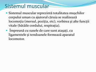 3. NOTIUNI DE ANATOMIE SI FIZIOLOGIE.pptx
