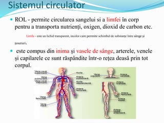 3. NOTIUNI DE ANATOMIE SI FIZIOLOGIE.pptx