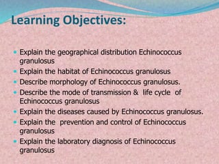 Echinococcus Granulosus On 10x Objective