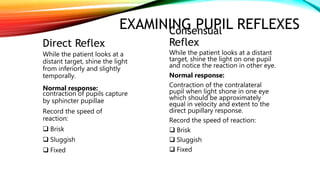 3. Pupil examination.pptx