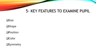 3. Pupil examination.pptx