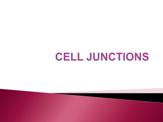 3. CELL JUNCTIONS.pptx