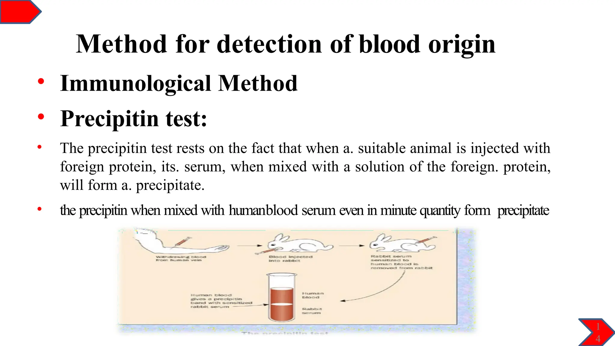 Examination of blood stains practical.pptx