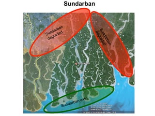 Climate Change.ppt | Environment | Science