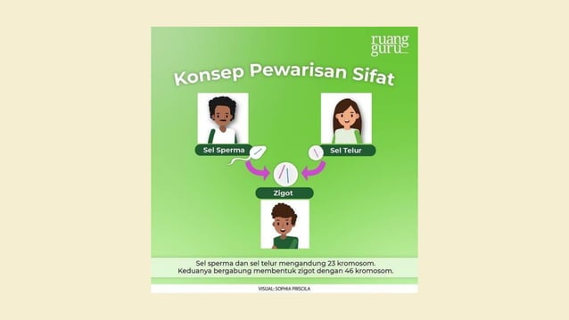 PPT Pewarisan sifat SMP Kelas 9 | PDF
