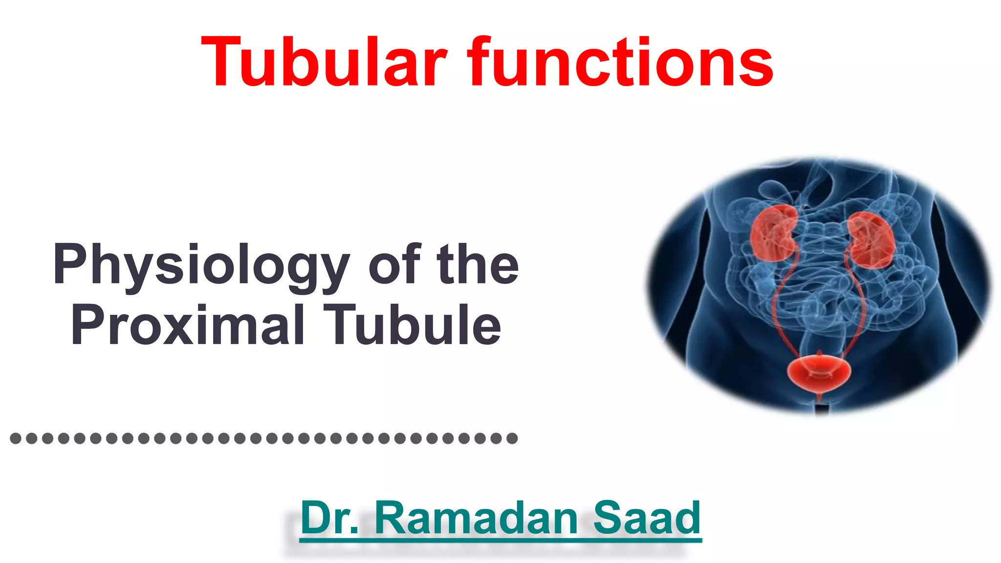 3. physiology of renal tubules(1).ppt