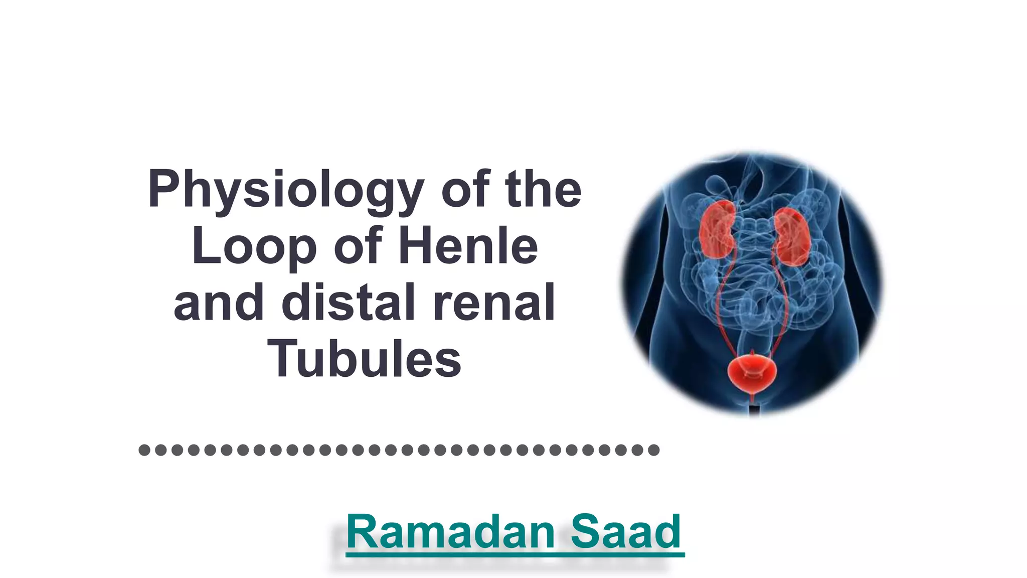 3. physiology of renal tubules(1).ppt