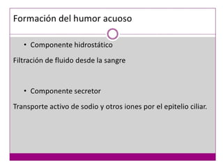 FISIOLOGÍA DEL HUMOR ACUOSO.pdf