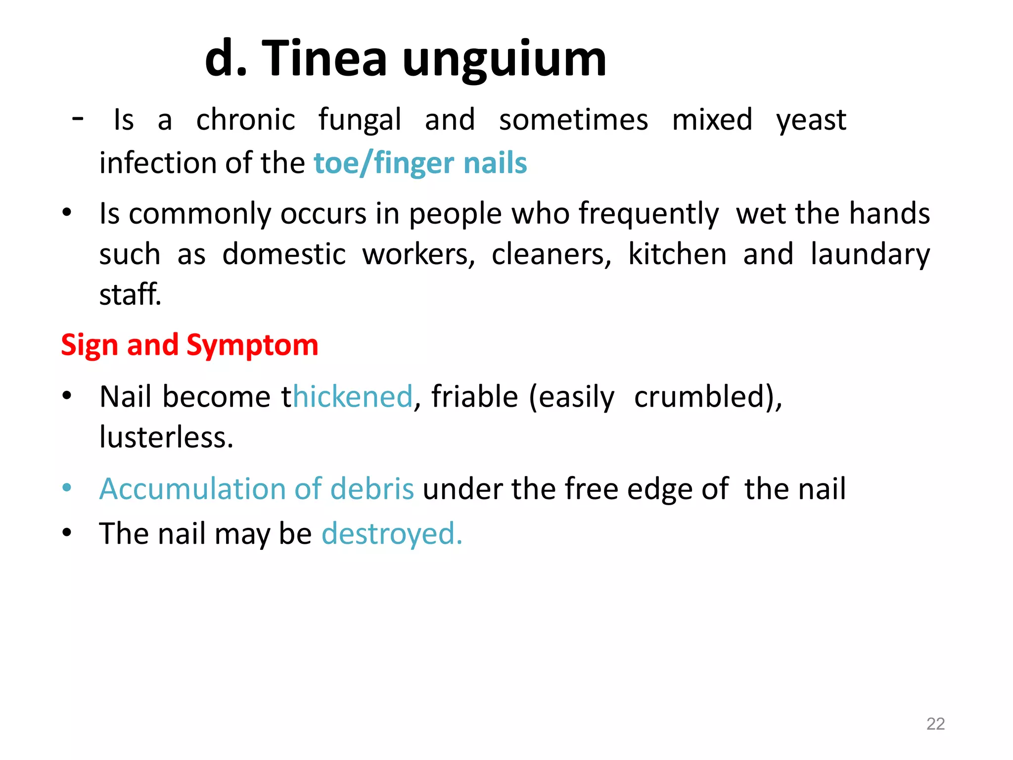 3. lec 4 integument system PATH-321.pptx