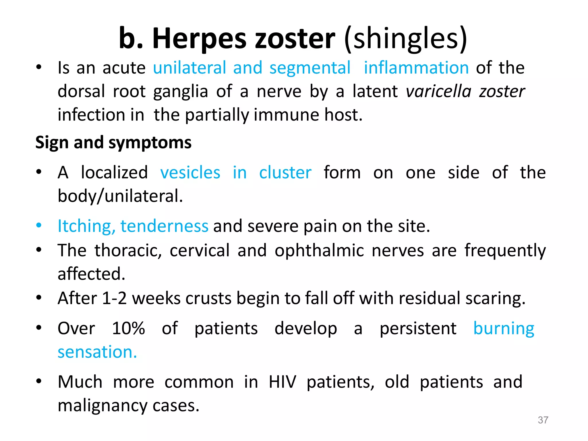 3. lec 4 integument system PATH-321.pptx