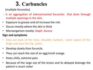 3. lec 4 integument system PATH-321.pptx